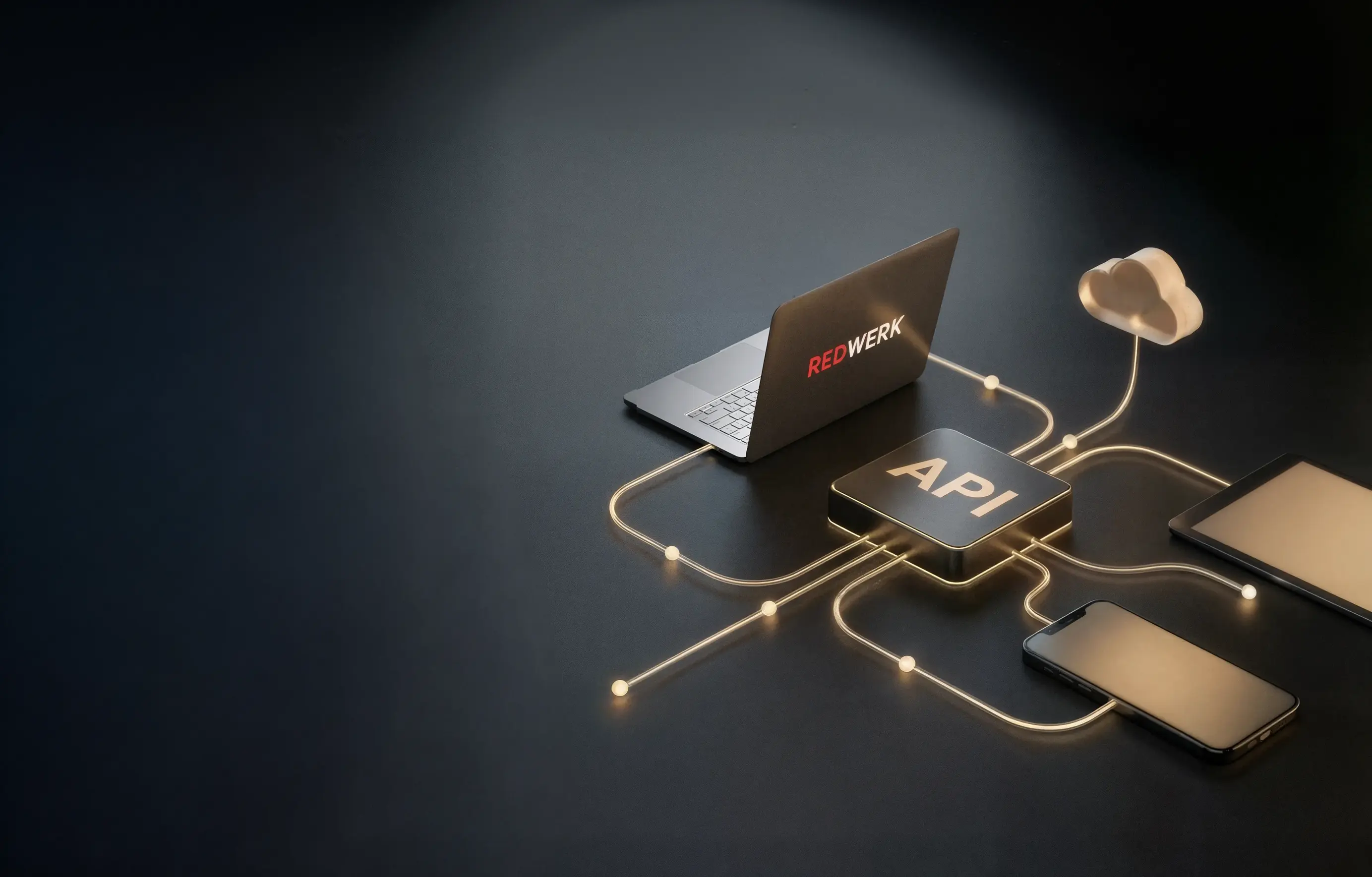 API Development Services for Ultimate Customization | Redwerk